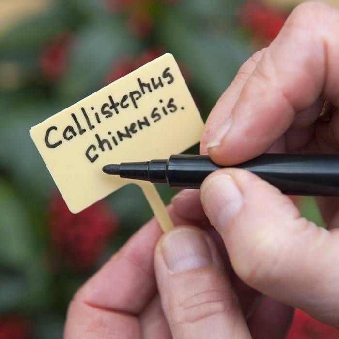 Etiquetas de Plantas con Marcador de Jardín H13cm Set compre barato en Plantazon